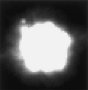 Discovery of a moon orbiting the asteroid 45 Eugenia | Nature