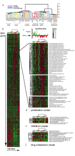 Systematic variation in gene expression patterns in human cancer cell ...