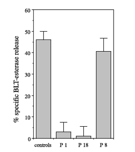 Mutations in RAB27A cause Griscelli syndrome associated with ...