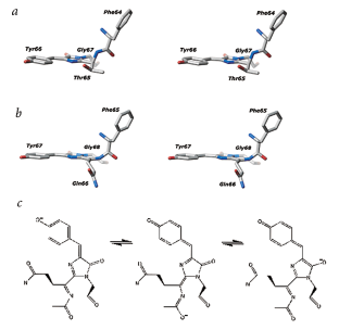 The structural basis for red fluorescence in the tetrameric GFP homolog ...