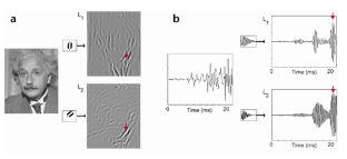 Natural signal statistics and sensory gain control | Nature Neuroscience
