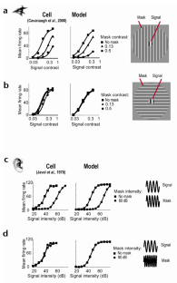 Natural signal statistics and sensory gain control | Nature Neuroscience