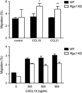 The autoimmunity-associated gene RGS1 affects the frequency of T ...