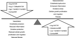 Efficiency and specificity of RAAS inhibitors in cardiovascular ...