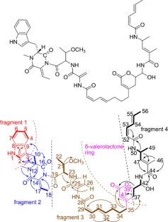 Hangtaimycin, a peptide secondary metabolite discovered from ...