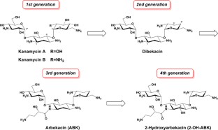 Destination of aminoglycoside antibiotics in the ‘post-antibiotic era ...