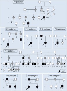 Otopalatodigital spectrum disorders: refinement of the phenotypic and ...