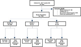 Severe intraventricular hemorrhage and withdrawal of support in preterm ...