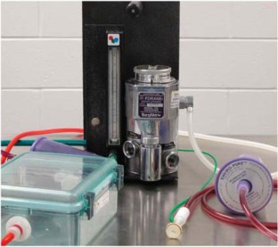 Monitoring and mitigating isoflurane emissions during inhalational ...