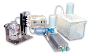 Inhalation Anesthetics in Rodents | Lab Animal