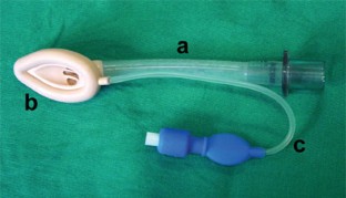 Use of the laryngeal mask airway in rabbits: placement and efficacy ...