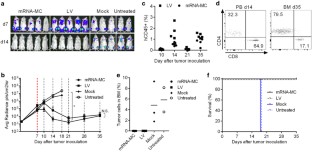 Enhanced CAR T-cell engineering using non-viral Sleeping Beauty transposition from minicircle ...