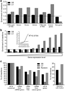 Enhanced CAR T-cell engineering using non-viral Sleeping Beauty transposition from minicircle ...
