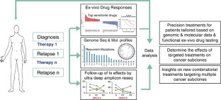 Monitoring therapy responses at the leukemic subclone level by ultra ...