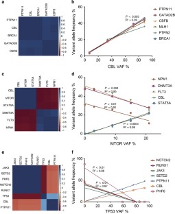 Monitoring therapy responses at the leukemic subclone level by ultra ...