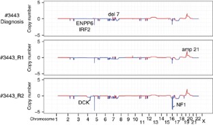 Monitoring therapy responses at the leukemic subclone level by ultra ...