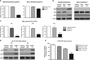 E3 ubiquitin ligase Cbl-b activates the p53 pathway by targeting Siva1 ...