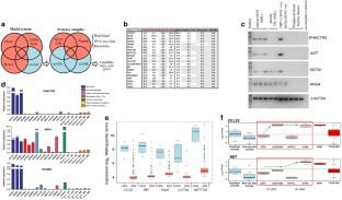 Modeling human MLL-AF9 translocated acute myeloid leukemia from single ...