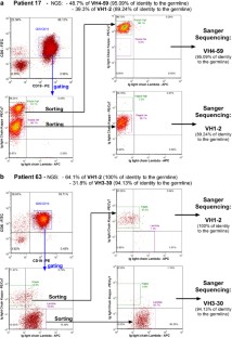 Targeted deep sequencing reveals clinically relevant subclonal IgHV ...