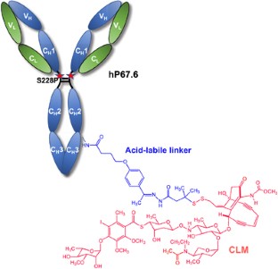 Gemtuzumab ozogamicin in acute myeloid leukemia | Leukemia