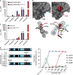 Mechanisms of resistance to the BCR-ABL1 allosteric inhibitor asciminib ...