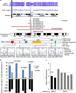 A novel genetic and morphologic phenotype of ARID2 -mediated ...