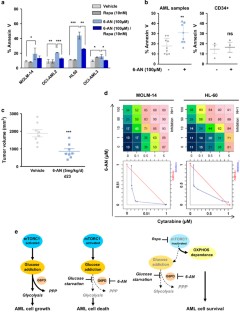 High mTORC1 activity drives glycolysis addiction and sensitivity to ...