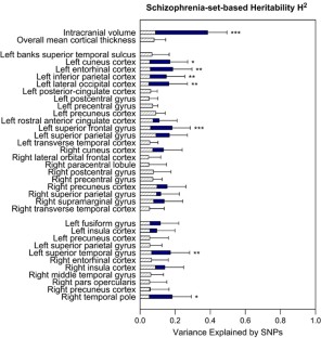 Partitioning heritability analysis reveals a shared genetic basis of ...