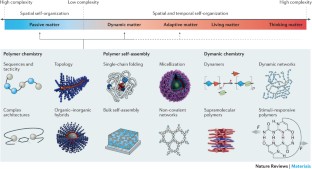 From precision polymers to complex materials and systems | Nature ...