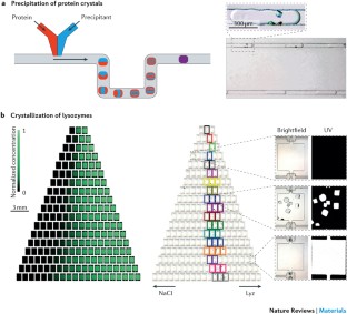 Interplay between materials and microfluidics | Nature Reviews Materials