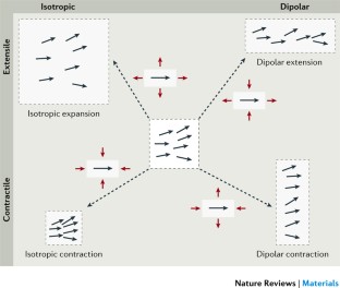 Active matter at the interface between materials science and cell ...