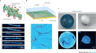 Active matter at the interface between materials science and cell ...