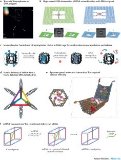 DNA nanotechnology | Nature Reviews Materials