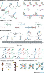 DNA nanotechnology | Nature Reviews Materials