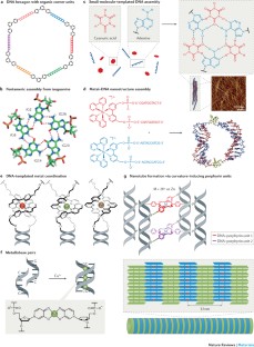 DNA nanotechnology | Nature Reviews Materials