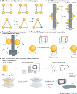DNA nanotechnology | Nature Reviews Materials