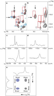NMR analysis of a 900K GroEL–GroES complex | Nature