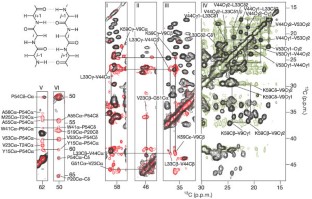 Structure of a protein determined by solid-state magic-angle-spinning ...