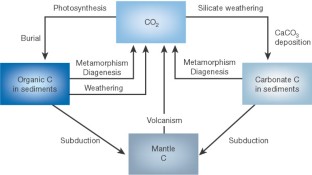 The long-term carbon cycle, fossil fuels and atmospheric composition ...