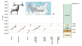 Pleistocene to Holocene extinction dynamics in giant deer and woolly ...