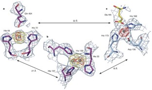 Crystal structure of a membrane-bound metalloenzyme that catalyses the ...