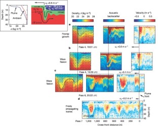 River plumes as a source of large-amplitude internal waves in the ...