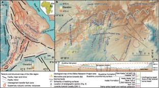 Geological and palaeontological context of a Pliocene juvenile hominin ...
