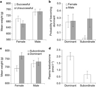 Intrasexual competition and sexual selection in cooperative mammals ...