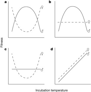 The adaptive significance of temperature-dependent sex determination in ...