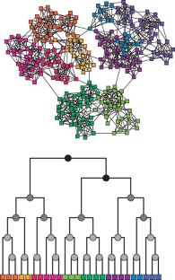 Hierarchical structure and the prediction of missing links in networks ...