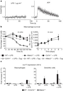 CD14 regulates the dendritic cell life cycle after LPS exposure through ...