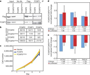 Human-specific transcriptional regulation of CNS development genes by ...