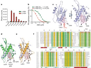 A gate–latch–lock mechanism for hormone signalling by abscisic acid ...