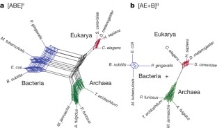 A formal test of the theory of universal common ancestry | Nature